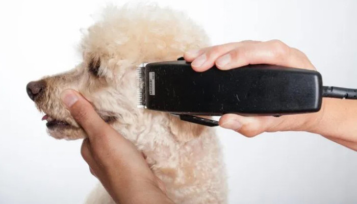 Moser Rex Nyírógép - Kutyanyírógép